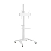 Brateck - Monitor Mounts, TV Mounts, Office Ergonomic Accessories, Pro ...