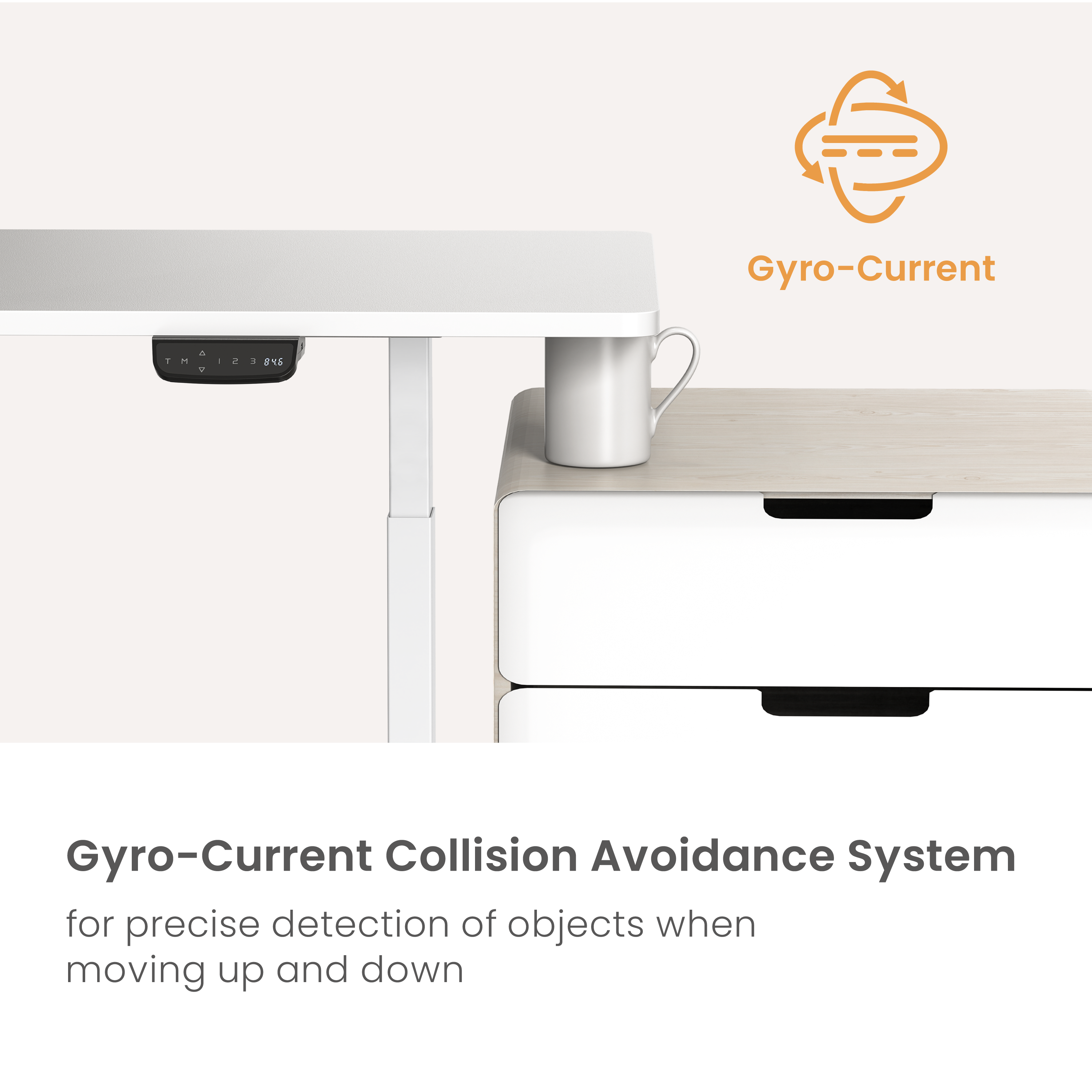 Practical 2-Stage Dual-Motor Sit-Stand Desk (Standard) Supplier and ...
