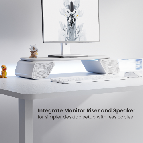 Standard Monitor Riser with Built-in Speakers and RGB Lighting Supplier ...