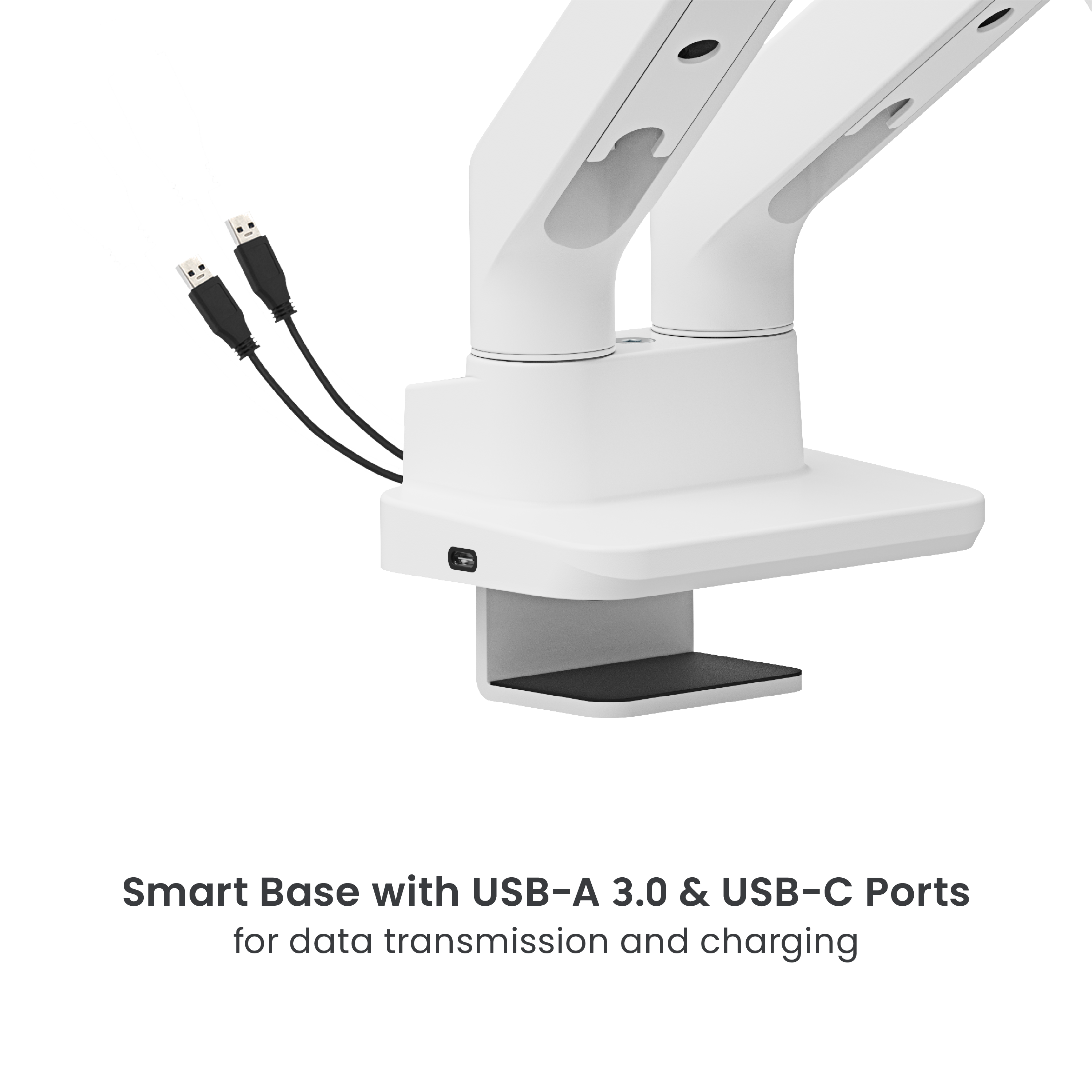 Noteworthy Heavy-Duty Gas Spring Dual Monitor Arm with USB-A/USB-C ...