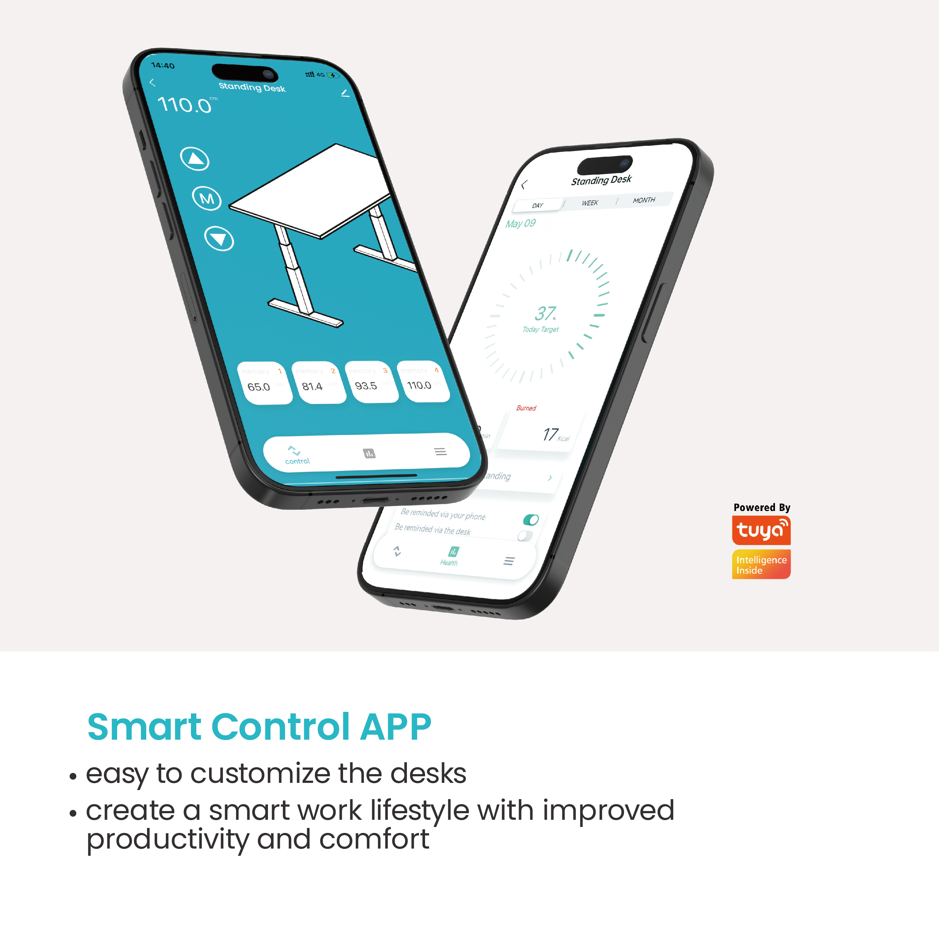 Smart Dual-Motor Sit-Stand Desks With APP Control (3-Stage, Standard ...