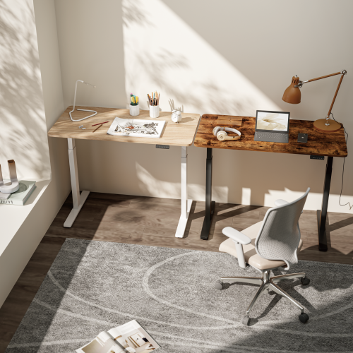 BudgetBoost Standard Column Single-Motor Sit-Stand Desk with Adjustable ...